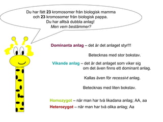 Korsningsschema | PPT