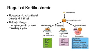 Penggunaan Kortikosteroid dalam Kehidupan Sehari | PPTX