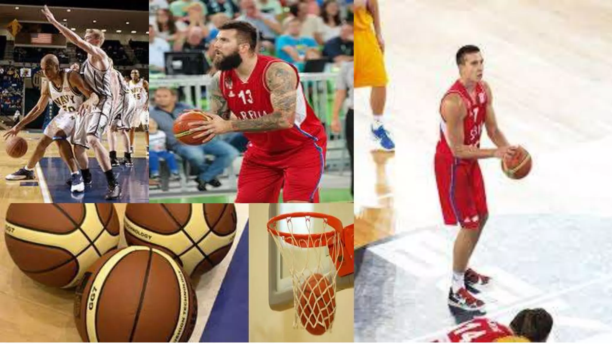 Kosarka danijela | PPTX