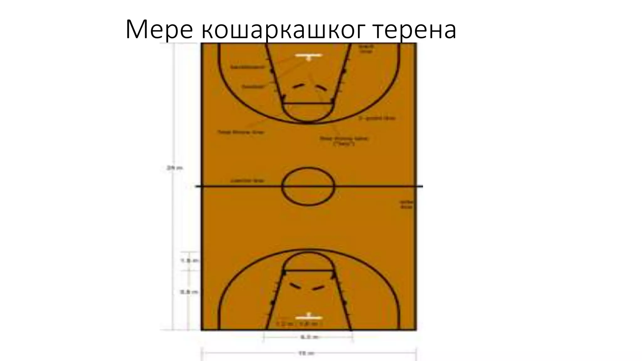 Kosarka danijela | PPTX