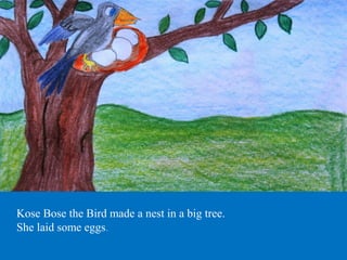 Kose bose | PPS