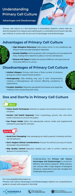 Understanding Primary Cell Culture: Advantages and Disadvantage | PDF