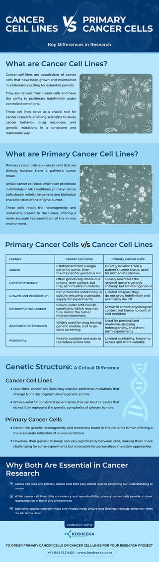Cancer Cell Lines vs. Primary Cancer Cells: Key Differences in Research ...