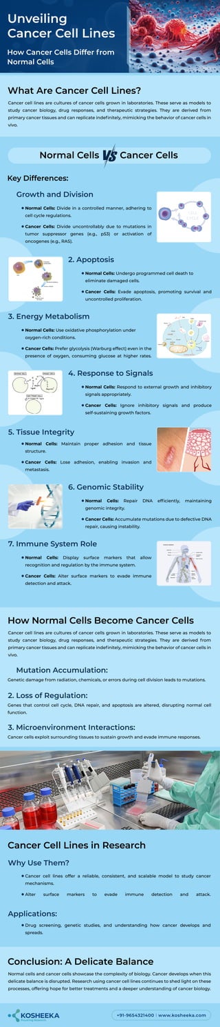 Unveiling Cancer Cell Lines: How Cancer Cells Differ from Normal Cells ...