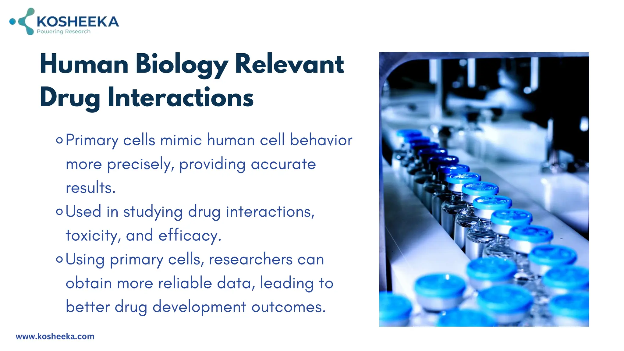Use of Primary Cells in Cell Culture and Drug Discovery | PPTX