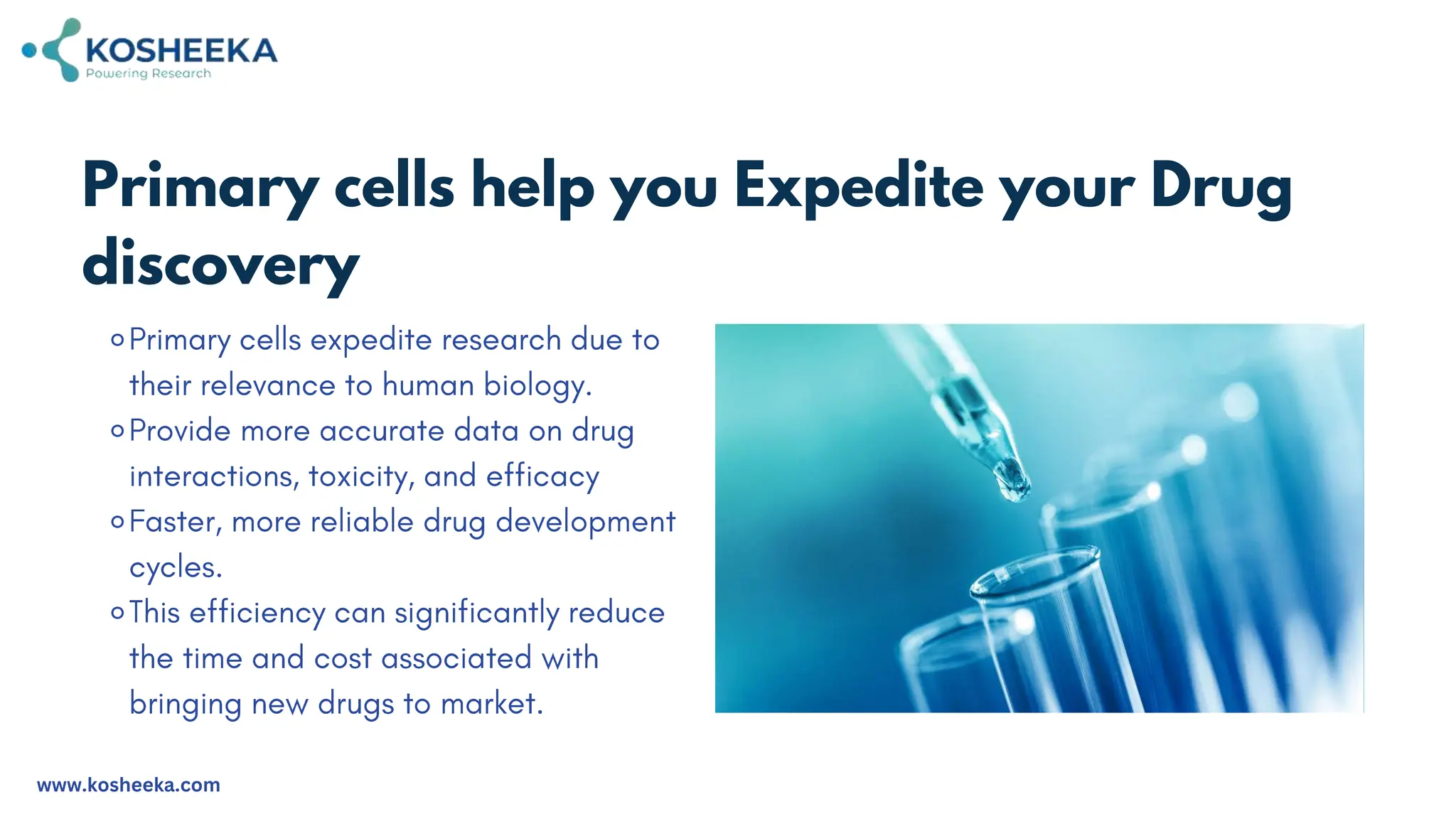 Use of Primary Cells in Cell Culture and Drug Discovery | PPTX