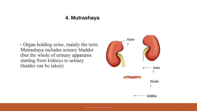 koshta .pptx made by me for ayurvedic students | PPTX