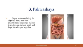 koshta .pptx made by me for ayurvedic students | PPTX