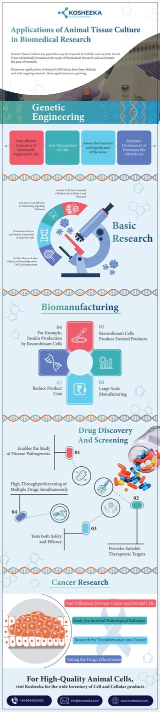 Applications of Animal Tissue Culture in Biomedical Research | PDF