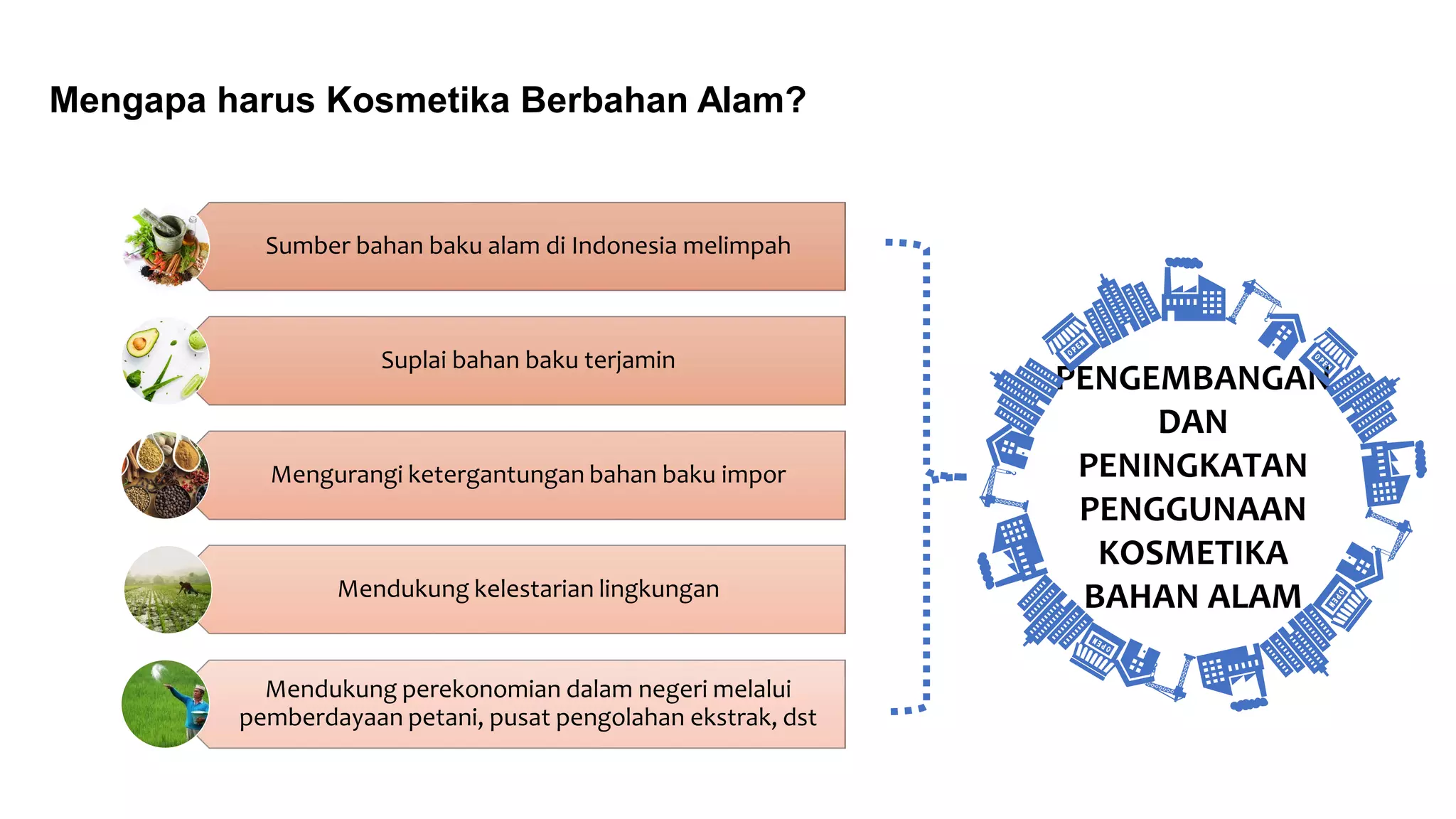 kosmetik bahan alam.pdf