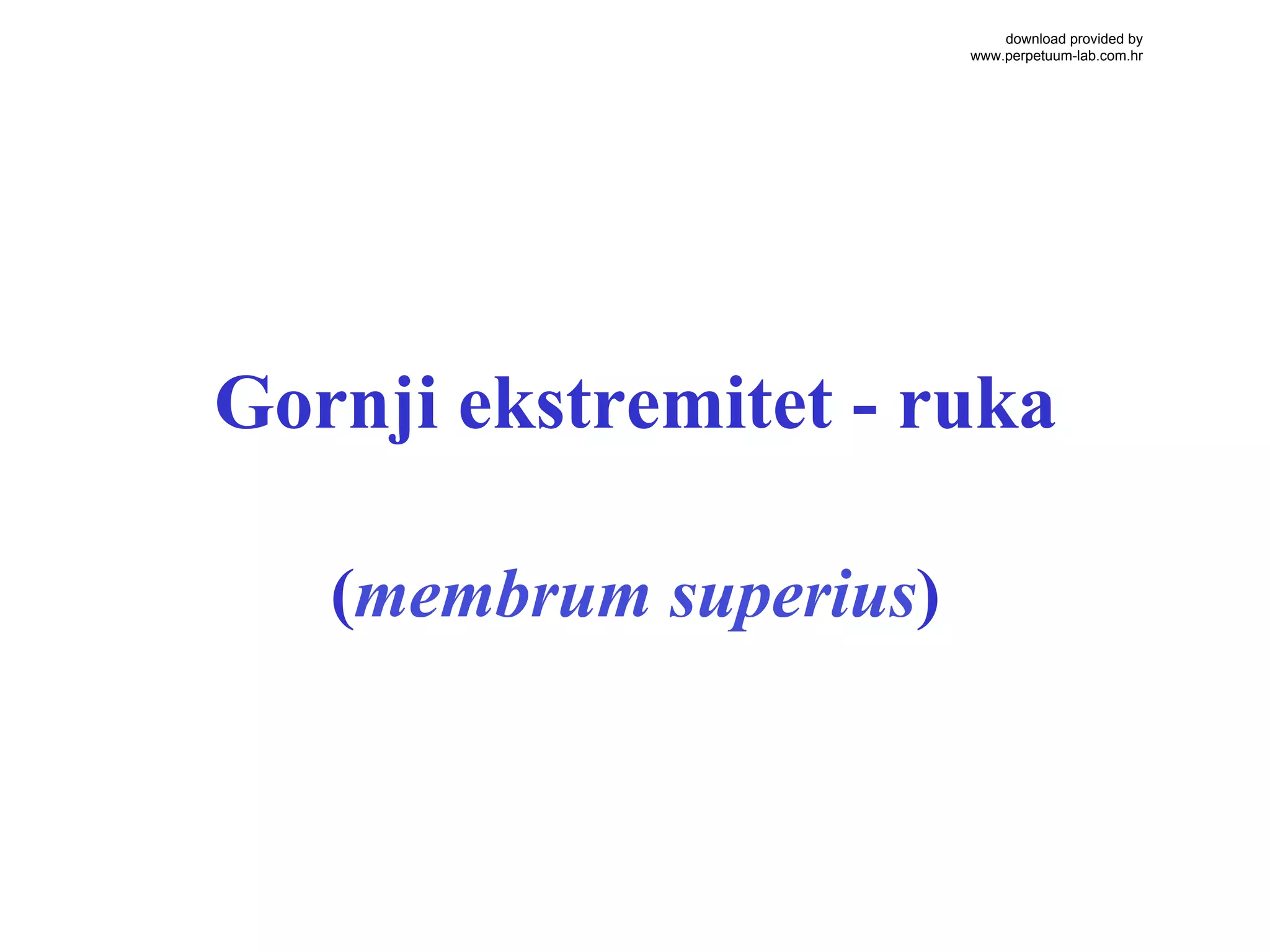 Kosti ruke | PDF