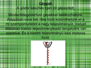 Ökoszisztémák anyag és energiaforgalma | PPT