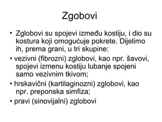 Koštani sistem | PPT