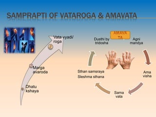 Kottumchukkadi taila | PPT