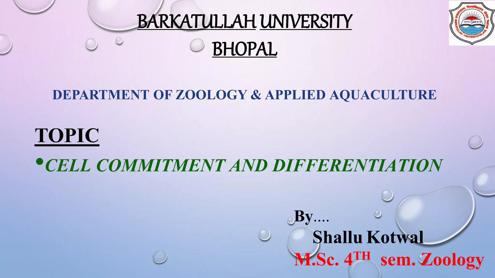 cell commitment and differentiation, stem cell,types of differentiation ...