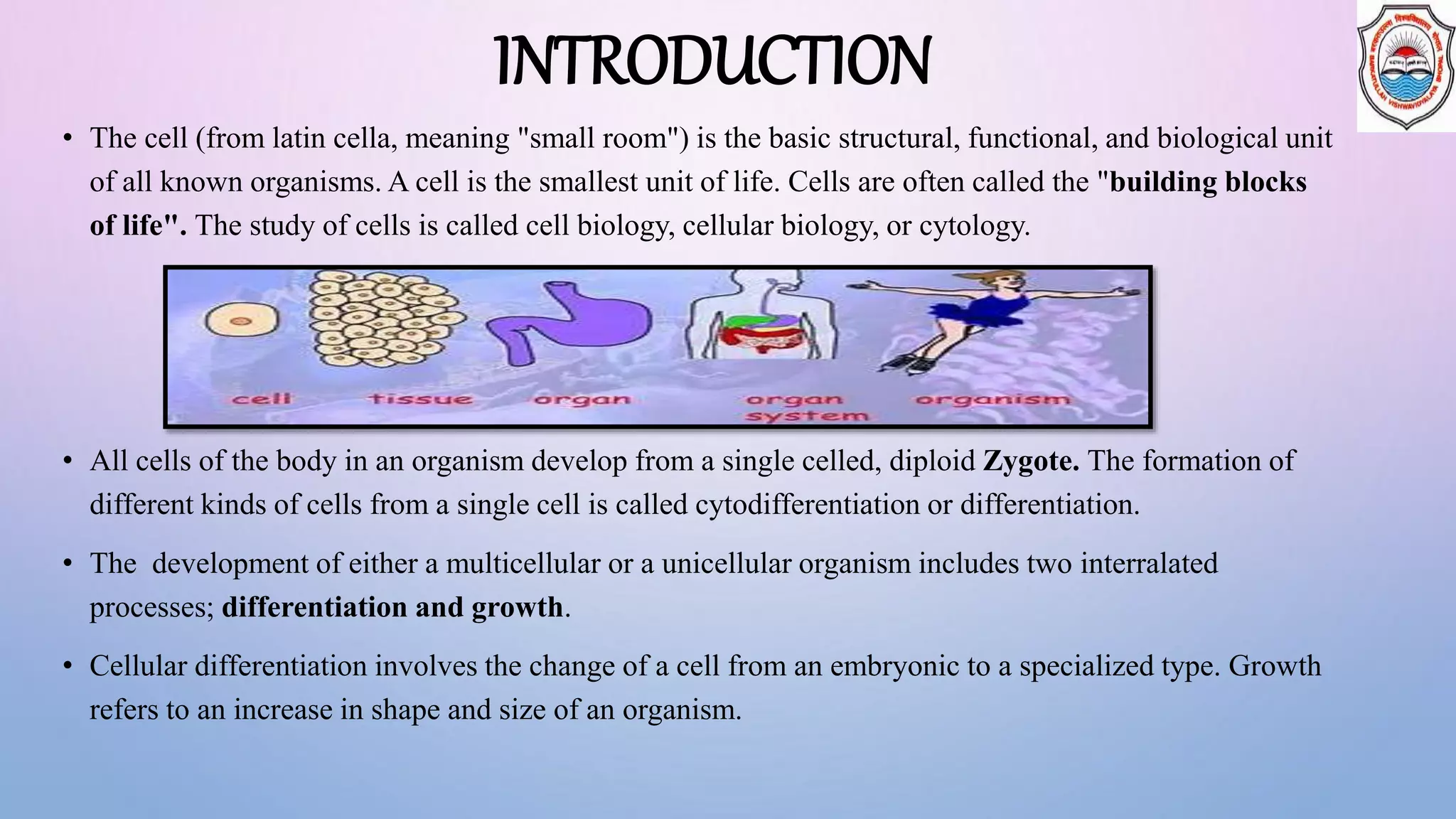cell commitment and differentiation, stem cell,types of differentiation ...