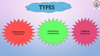cell commitment and differentiation, stem cell,types of differentiation ...
