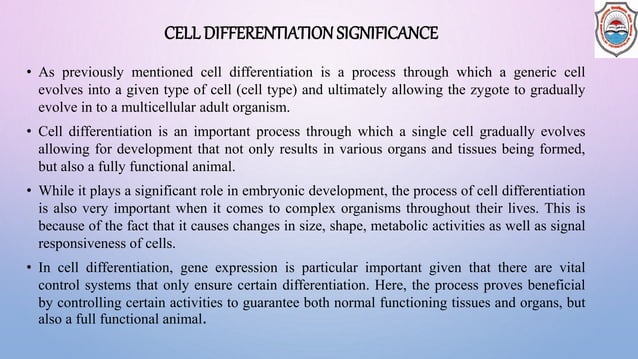 cell commitment and differentiation, stem cell,types of differentiation | PPTX | Biological ...