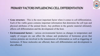 cell commitment and differentiation, stem cell,types of differentiation ...
