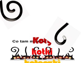 Koty | ODP