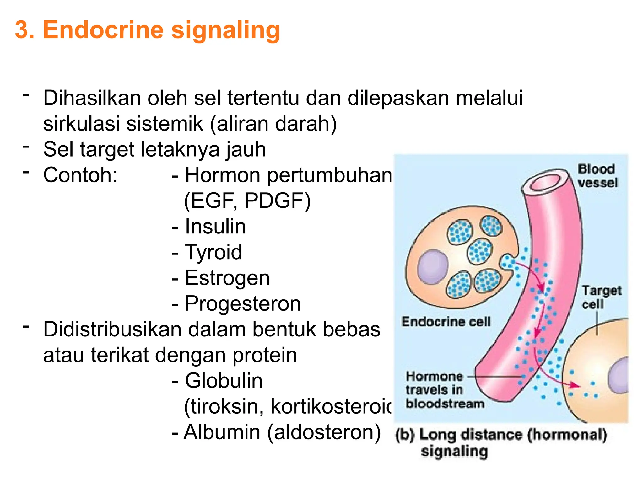 Komunikasi antar sel dalam tubuh manusia | PPTX