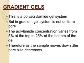 Koushik page electrophoresis | PPT