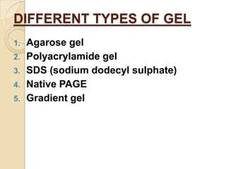 Koushik page electrophoresis | PPT