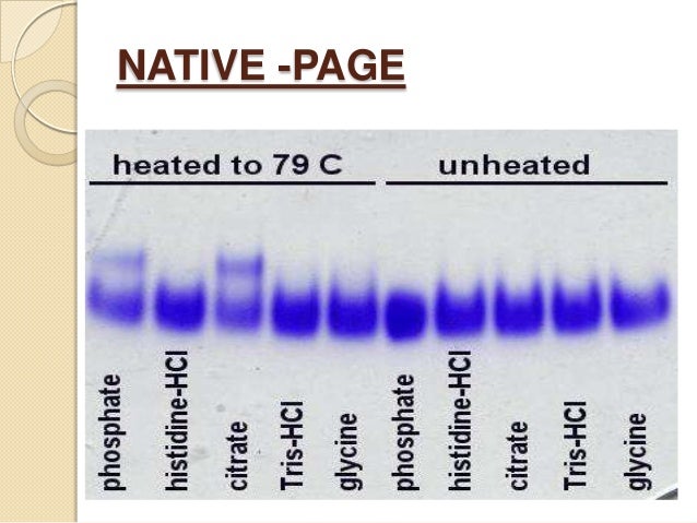 Koushik page electrophoresis