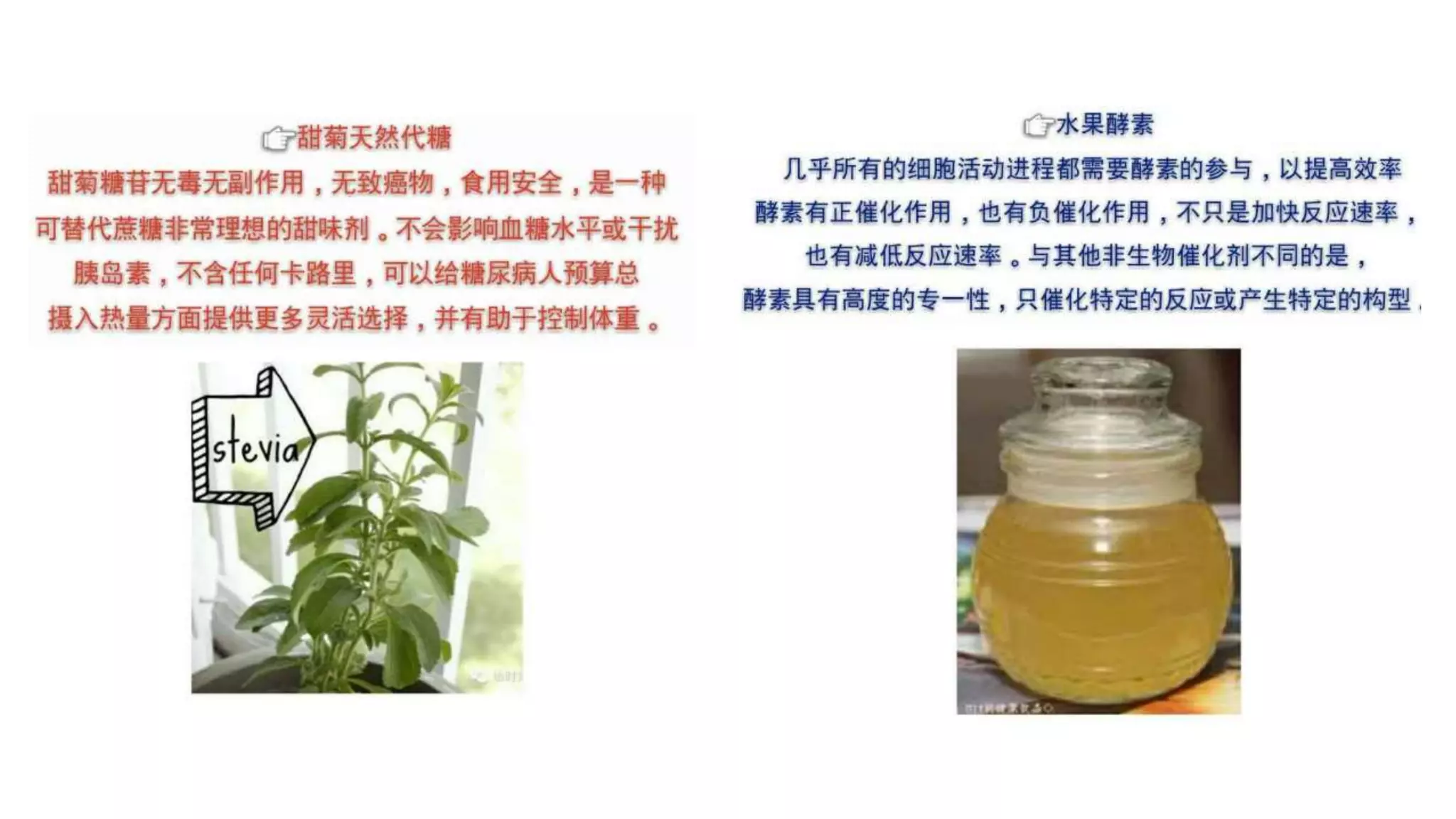 Kouso Japan Enzyme Product | PPT