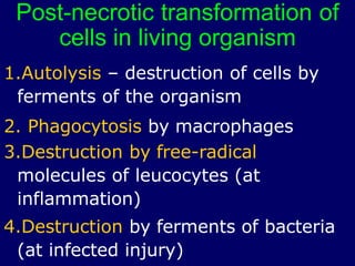 Necrosis. critical injury | PPTX
