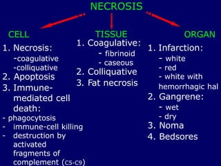 Necrosis. critical injury | PPTX