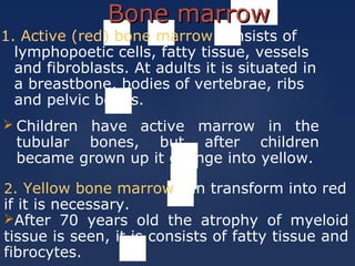 Pathology of immune system | PPT