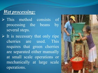 roasting cofee beans | PPTX