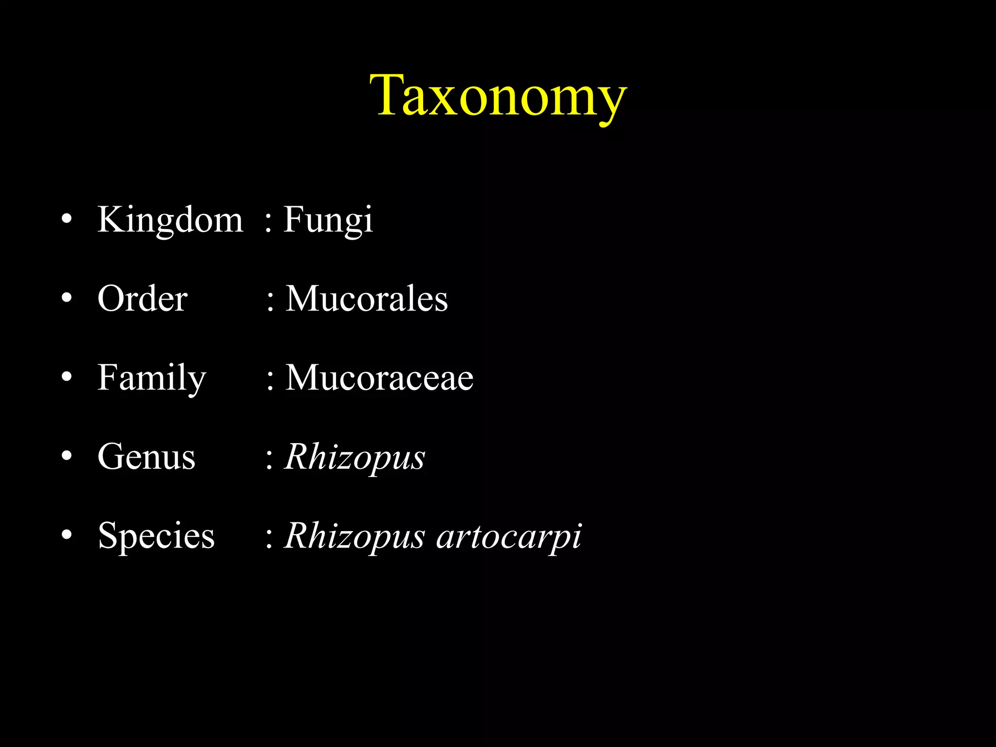 Kowsi pat | PPTX | Gardening | Home & Garden