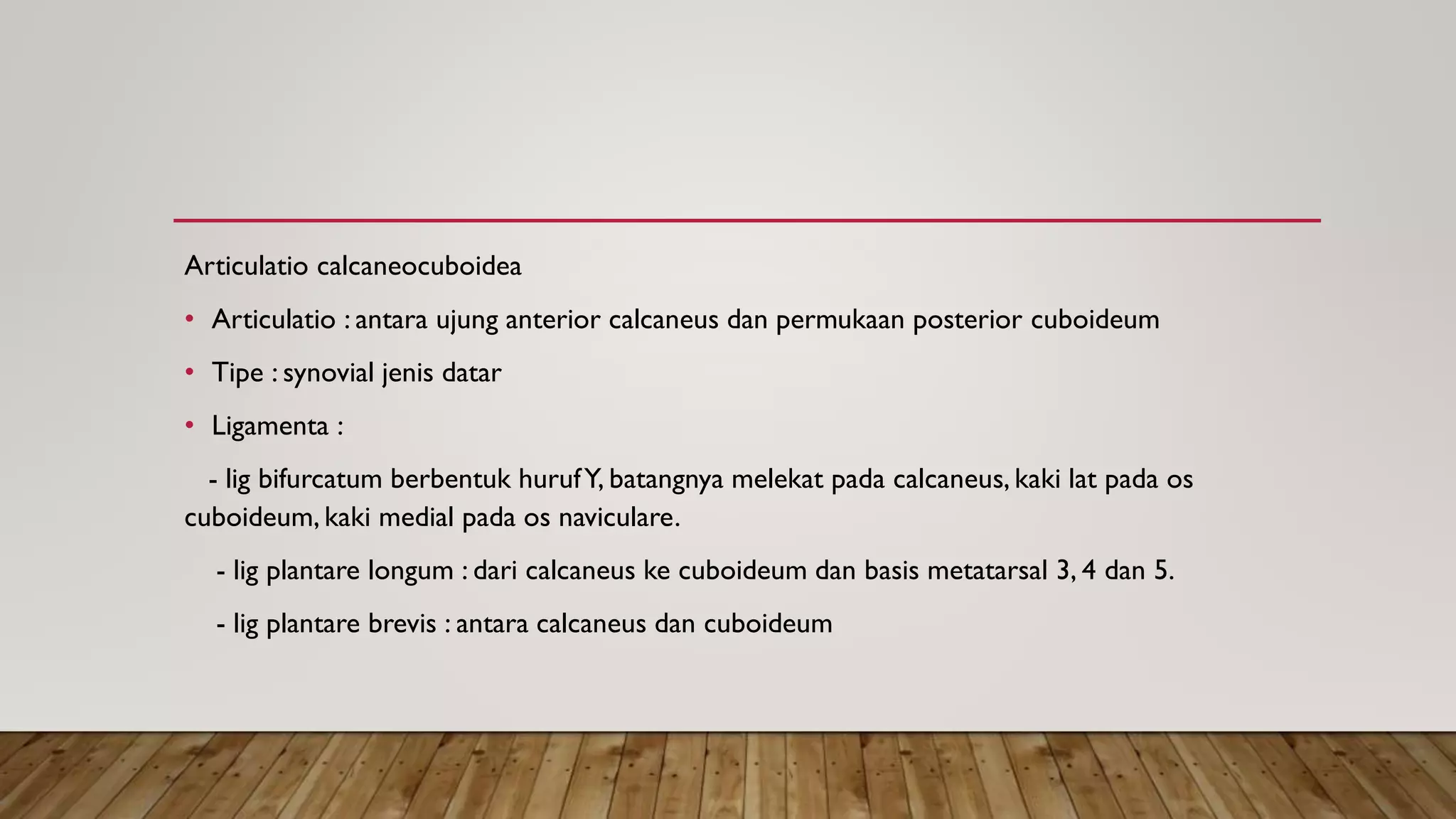 Persendian extremitas inferior | PDF