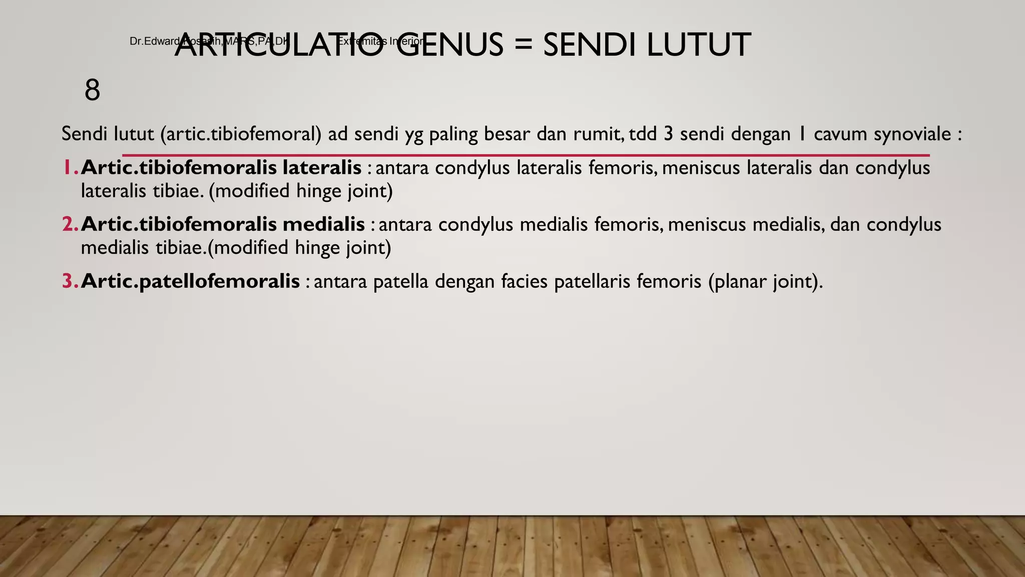 Persendian extremitas inferior | PDF