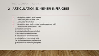 Persendian extremitas inferior | PDF