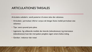 Persendian extremitas inferior | PDF