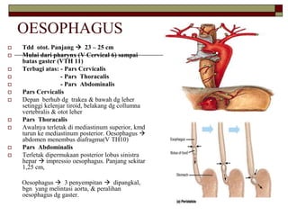 [KP 1.4.1.3] Anatomi Saluran Pencernaan.ppt