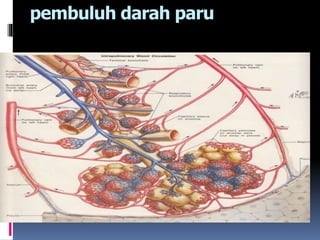 [KP 2.2.4.2] Hemoptisis Masif, Emboli Paru, Infark Paru.pptx