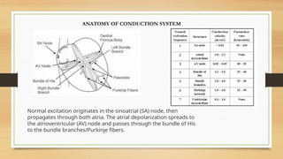 Basics of His bundle Electrogram.pptx