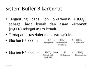 KP ASAM BASA 1.pptx