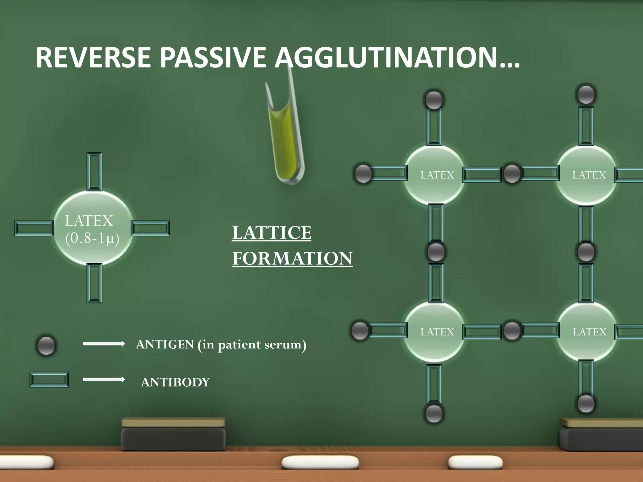 All about Passive agglutination | PPTX