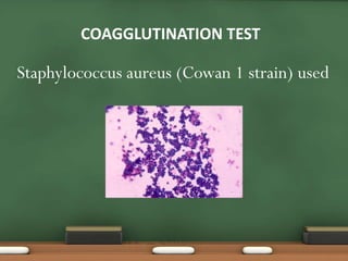 All about Passive agglutination | PPTX