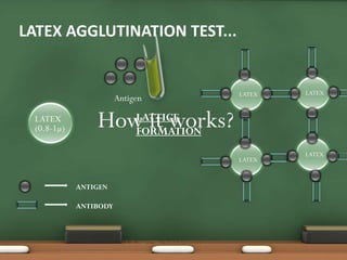 All about Passive agglutination | PPTX
