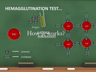 All about Passive agglutination | PPTX