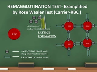 All about Passive agglutination | PPTX