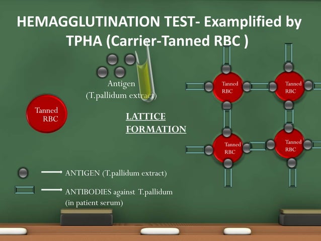 All about Passive agglutination | PPTX