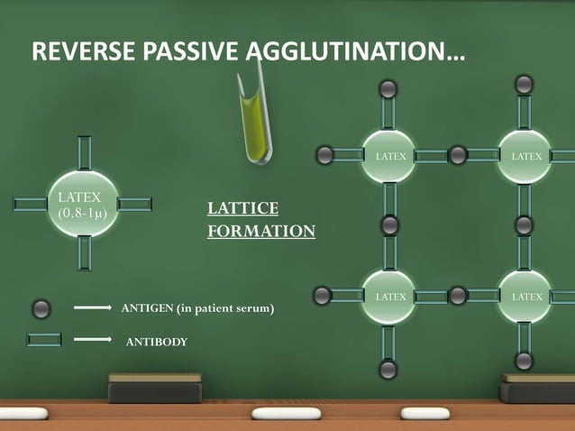 All about Passive agglutination | PPTX