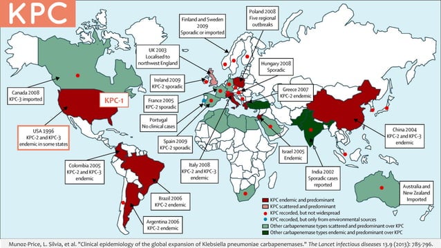 KPC (Klebsiella pneumoniae carbapenamases) | PDF
